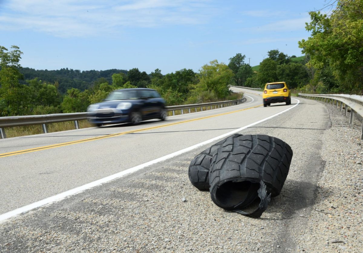Motorists must try to avoid bite of road gators - Observer-Reporter